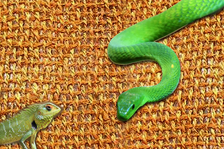 E-COIR | PRODUCTS - E-COIR BEDDING